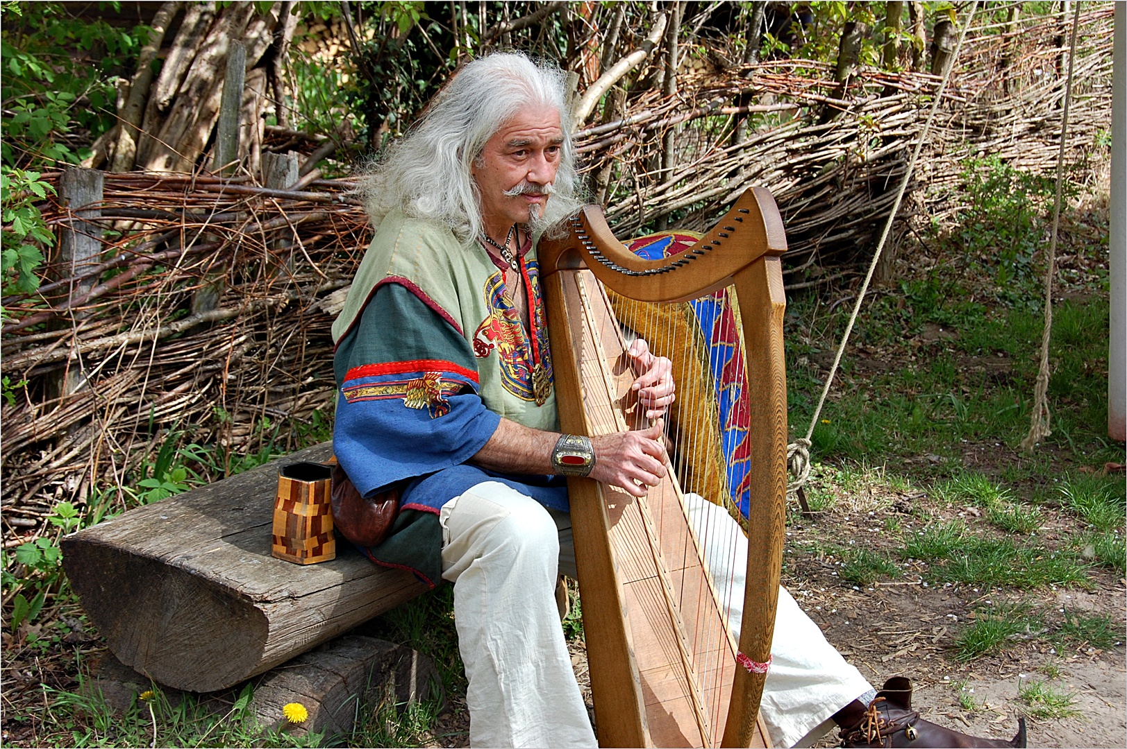 Troubadix, der Barde Foto & Bild | museumsdorf düppel, musik, menschen ...