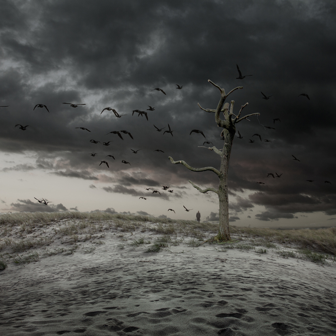 Trübe Stimmung Foto & Bild | fotomontage, fantasy mystery, wolken Bilder auf fotocommunity