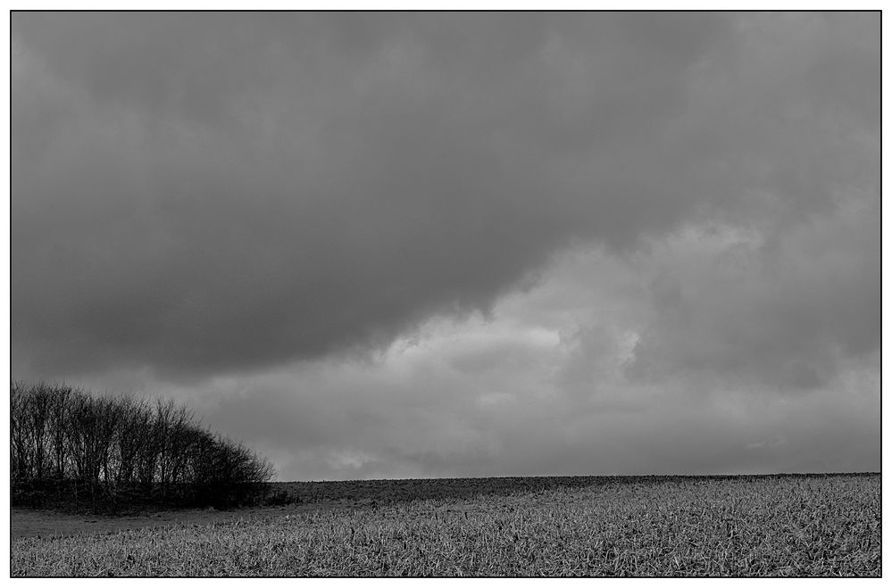 Trübes Land Foto & Bild | landschaft, jahreszeiten, winter Bilder auf fotocommunity