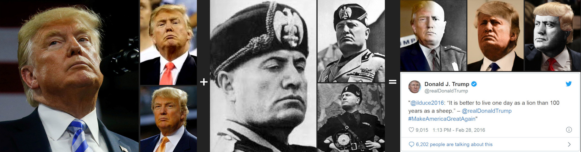 Trumpolini Foto & Bild | spezial, spaß, collagen Bilder auf fotocommunity