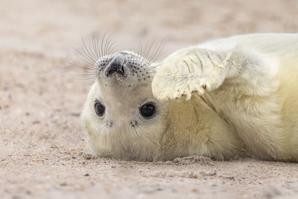 Tschüss... bis nächstes Jahr Foto & Bild | deutschland, europe ...