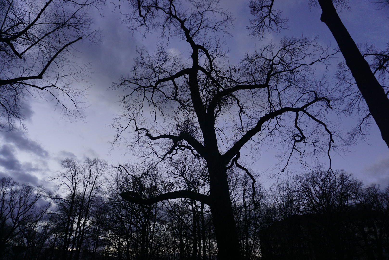 Tschüss Winter Foto & Bild | natur Bilder auf fotocommunity