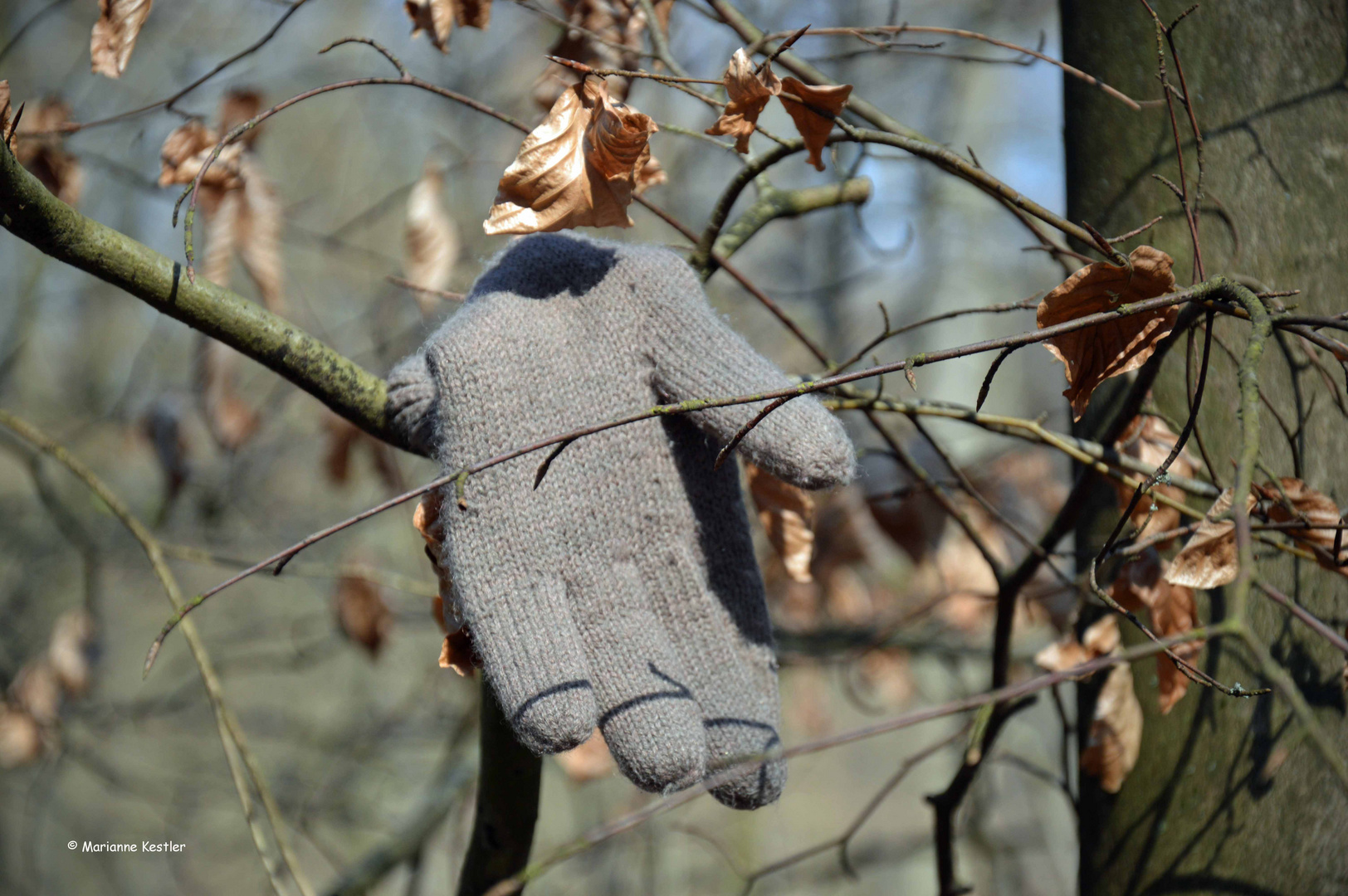 Tschüß Winter Foto & Bild | alltagsdesign, street photography ...