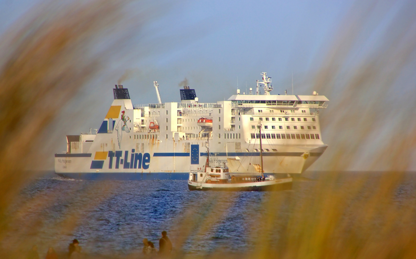 TT-Line Foto & Bild | world, deutschland, dünen Bilder auf fotocommunity