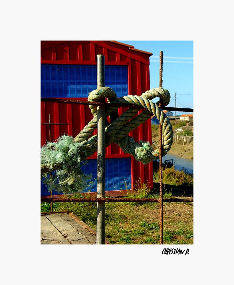 Tête de noeud... photo et image | autoportrait, visions, artistiques ...