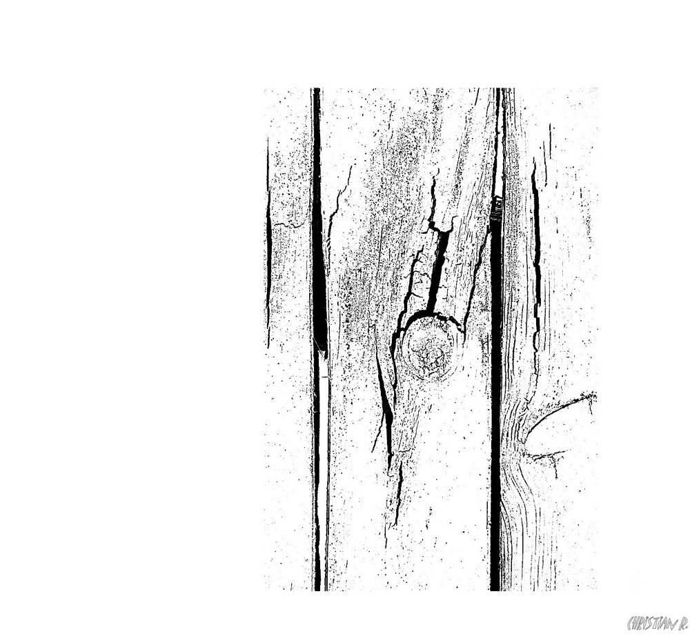 Tête de Noeud... photo et image | special, visions artistiques, île d ...