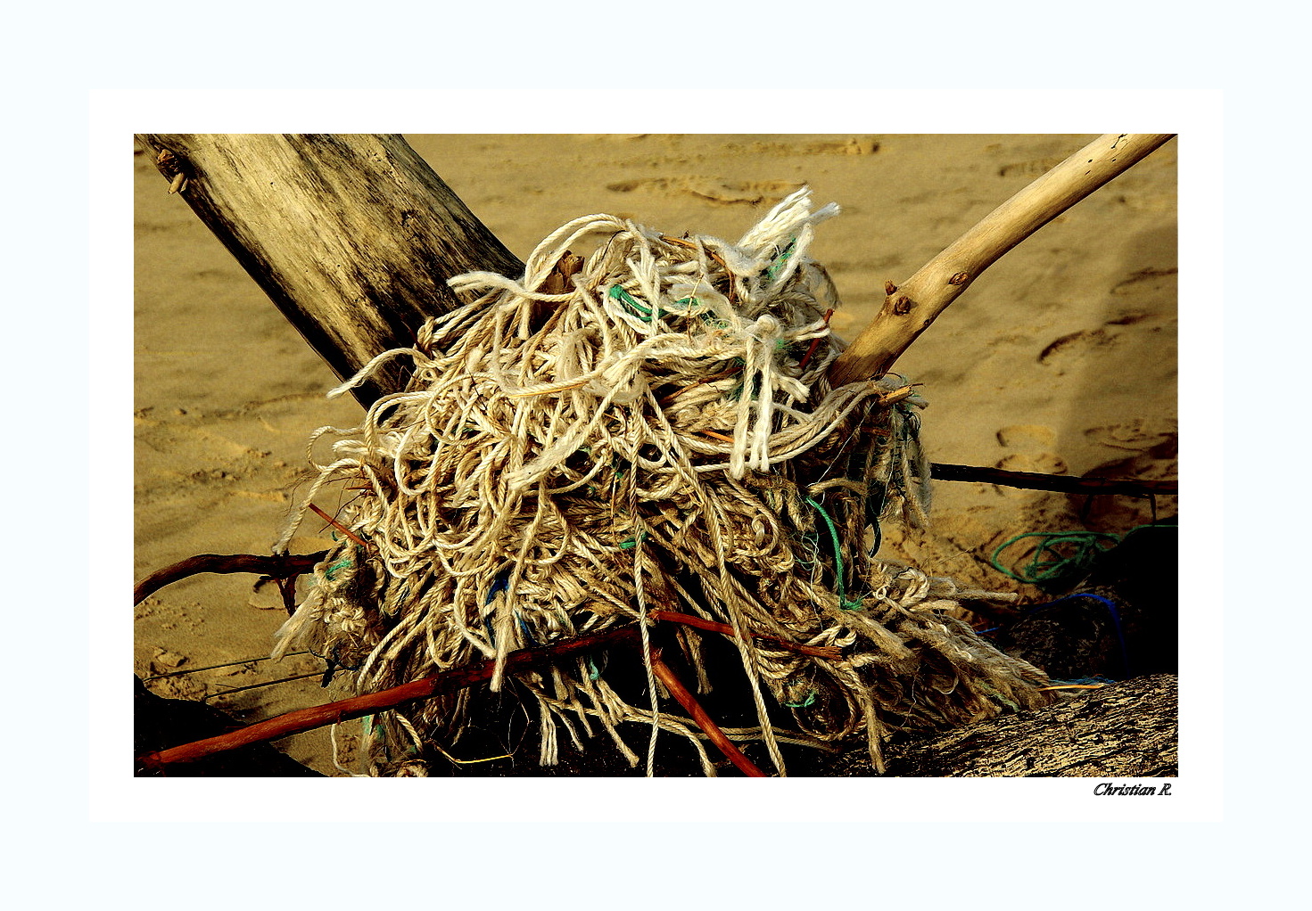 Tête de noeuds... photo et image | visions artistiques, sujets Images ...