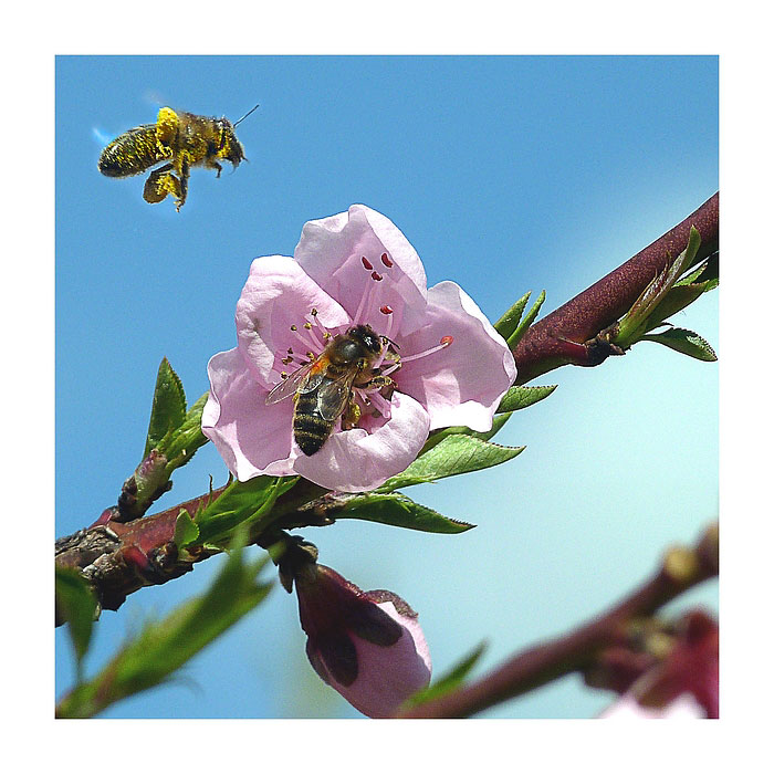 tu bouges.... j'arrive photo et image | animations photographiques, exercices hebdomadaires ...