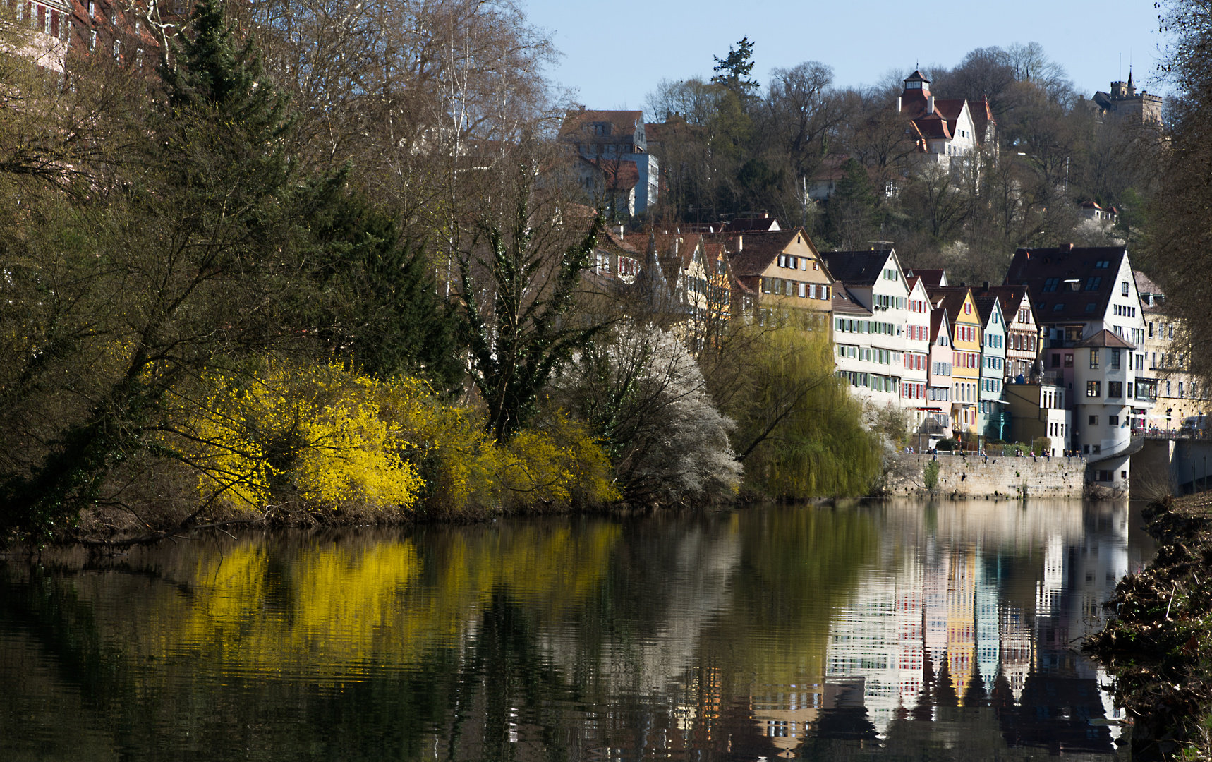 Tübingen am Neckar Foto & Bild | deutschland, europe, baden ...