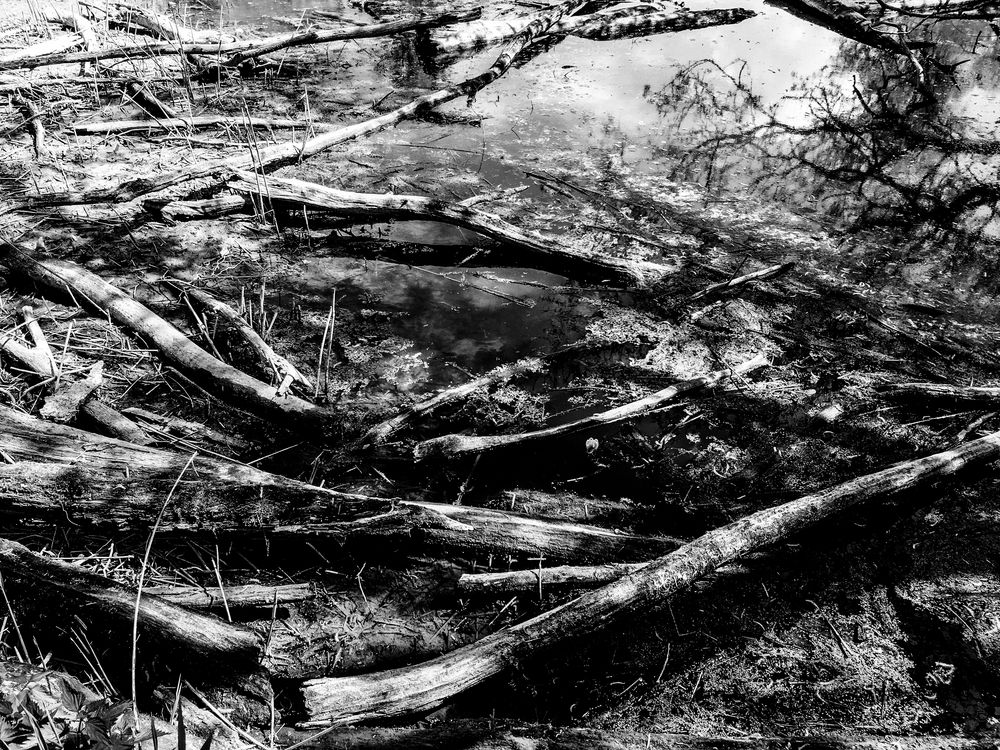 Tümpel Foto & Bild | monochrom, bearbeitungs - techniken, digiart Bilder auf fotocommunity