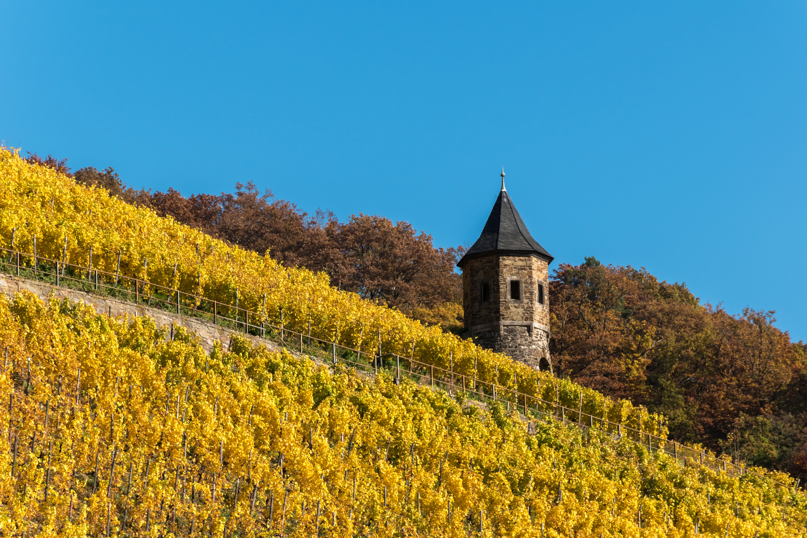 Türmchen im herbstlichen Weinberg Foto & Bild | deutschland, europe, nordrhein- westfalen Bilder ...