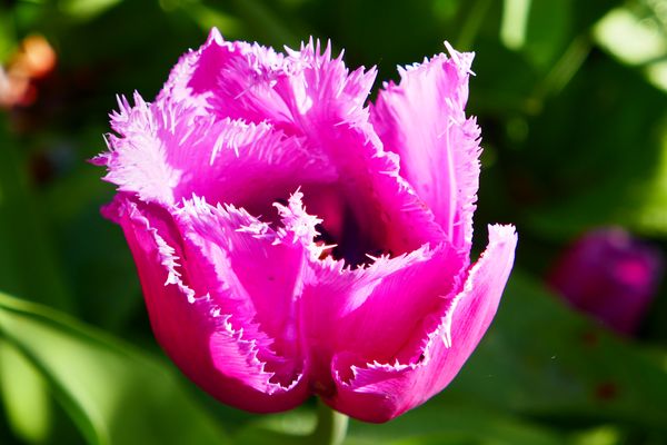 Natur, Naturbilder, Naturfotografie