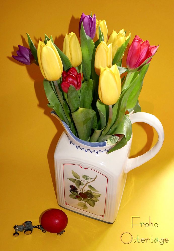 Tulpen aus Amster…äh, Ostfriesland Foto & Bild | pflanzen, pilze & flechten, blüten ...