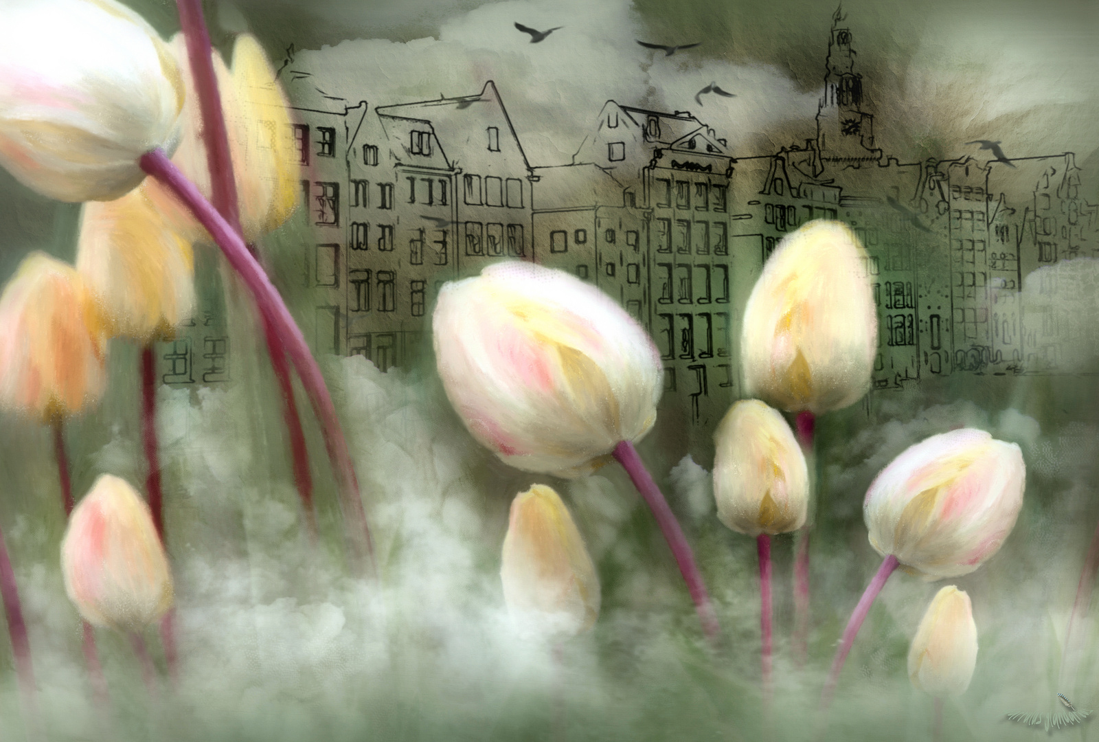 Tulpen uit Amsterdam Foto & Bild | tulpen, composing, digiart Bilder auf fotocommunity