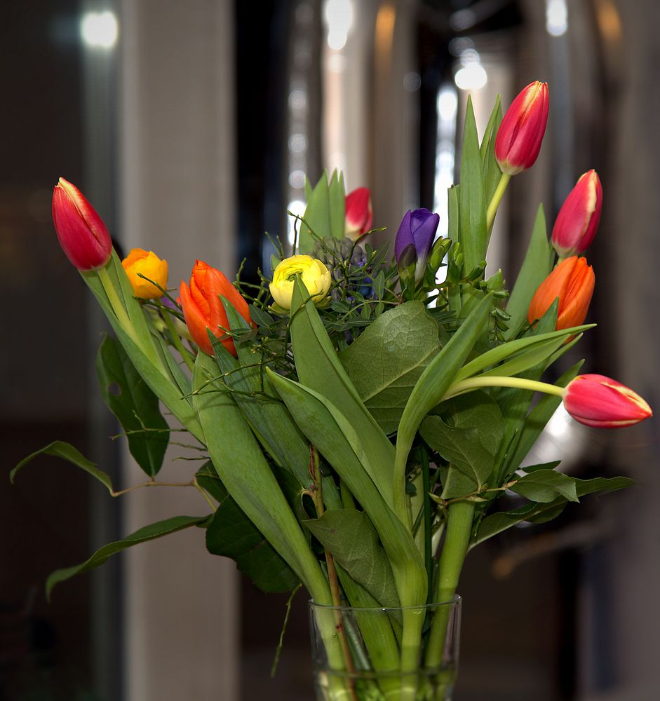 Tulpenstrauß Foto & Bild | bilder, tulpen, frühling Bilder auf fotocommunity