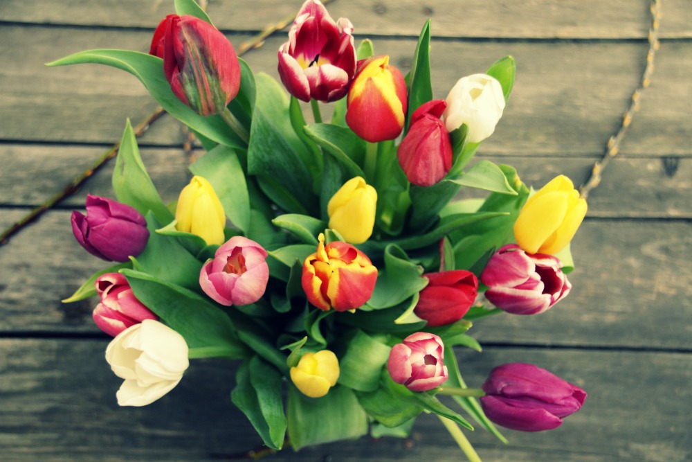 Tulpenstrauss Foto & Bild | stillleben, tulpen, frühling Bilder auf fotocommunity