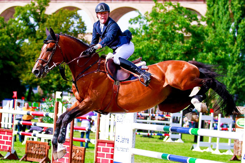 Turnierreiten Foto & Bild | sport, sport mit tieren, pferdesport Bilder ...