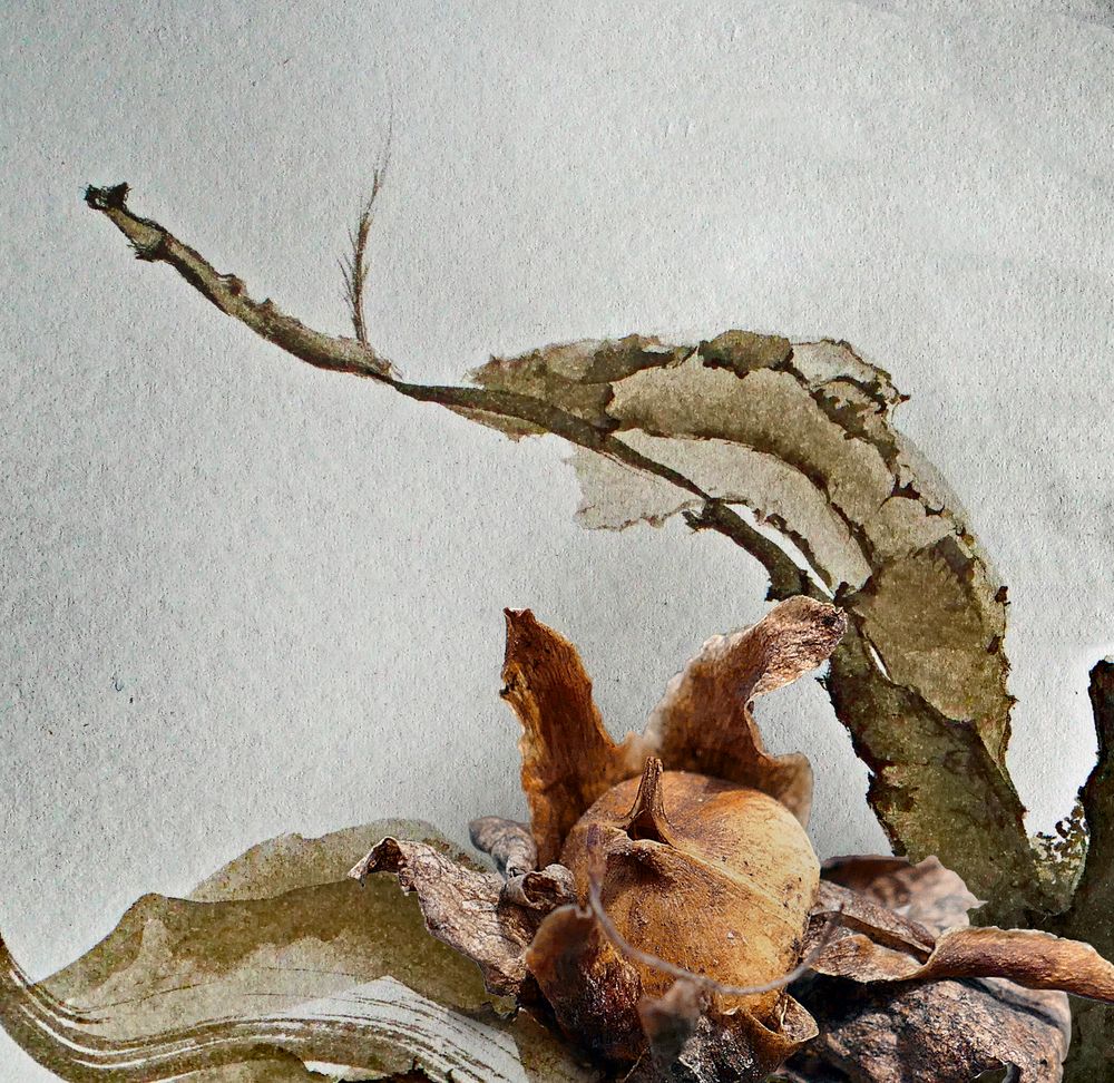 Tusche trifft Foto 1.Versuch Foto & Bild | stillleben, kunstfotografie & kultur, fotomontage ...