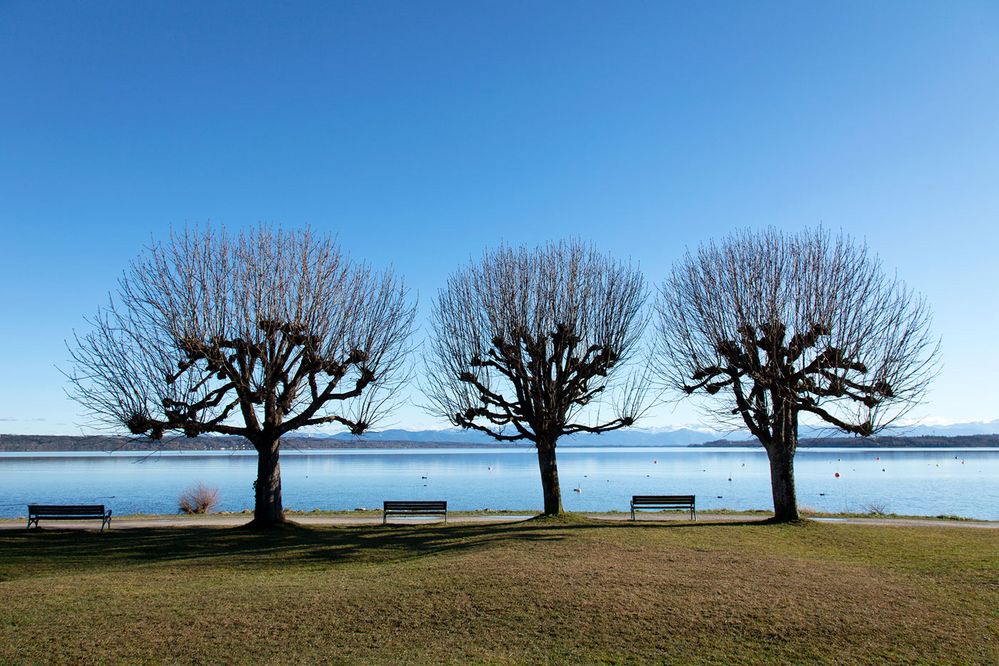 Tutzing Foto & Bild | deutschland, europe, bayern Bilder auf fotocommunity