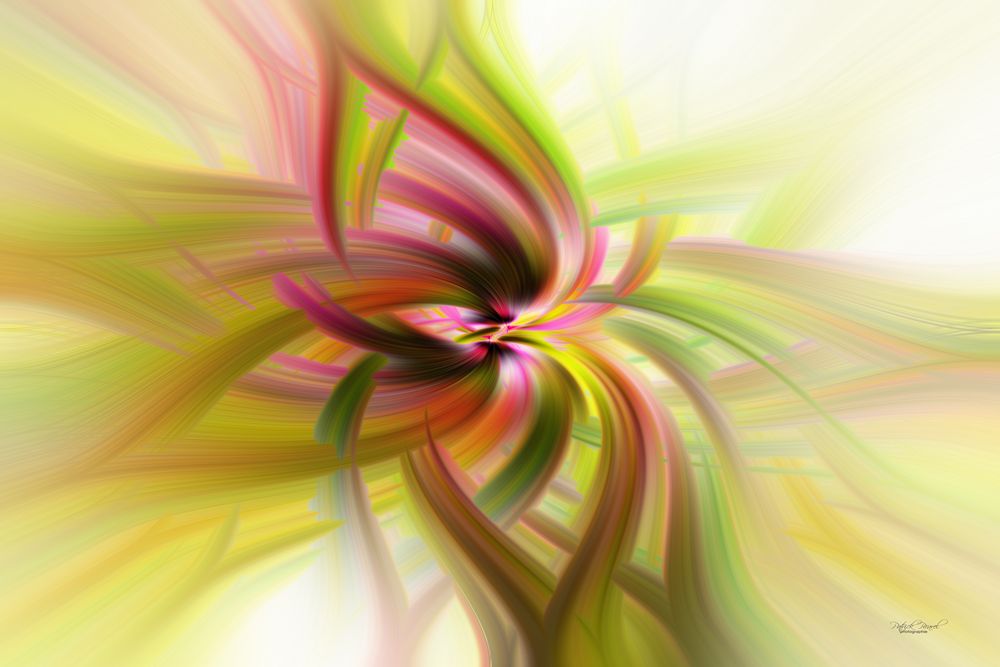 twirl 2 photo et image | nature, outdoor, natur Images fotocommunity