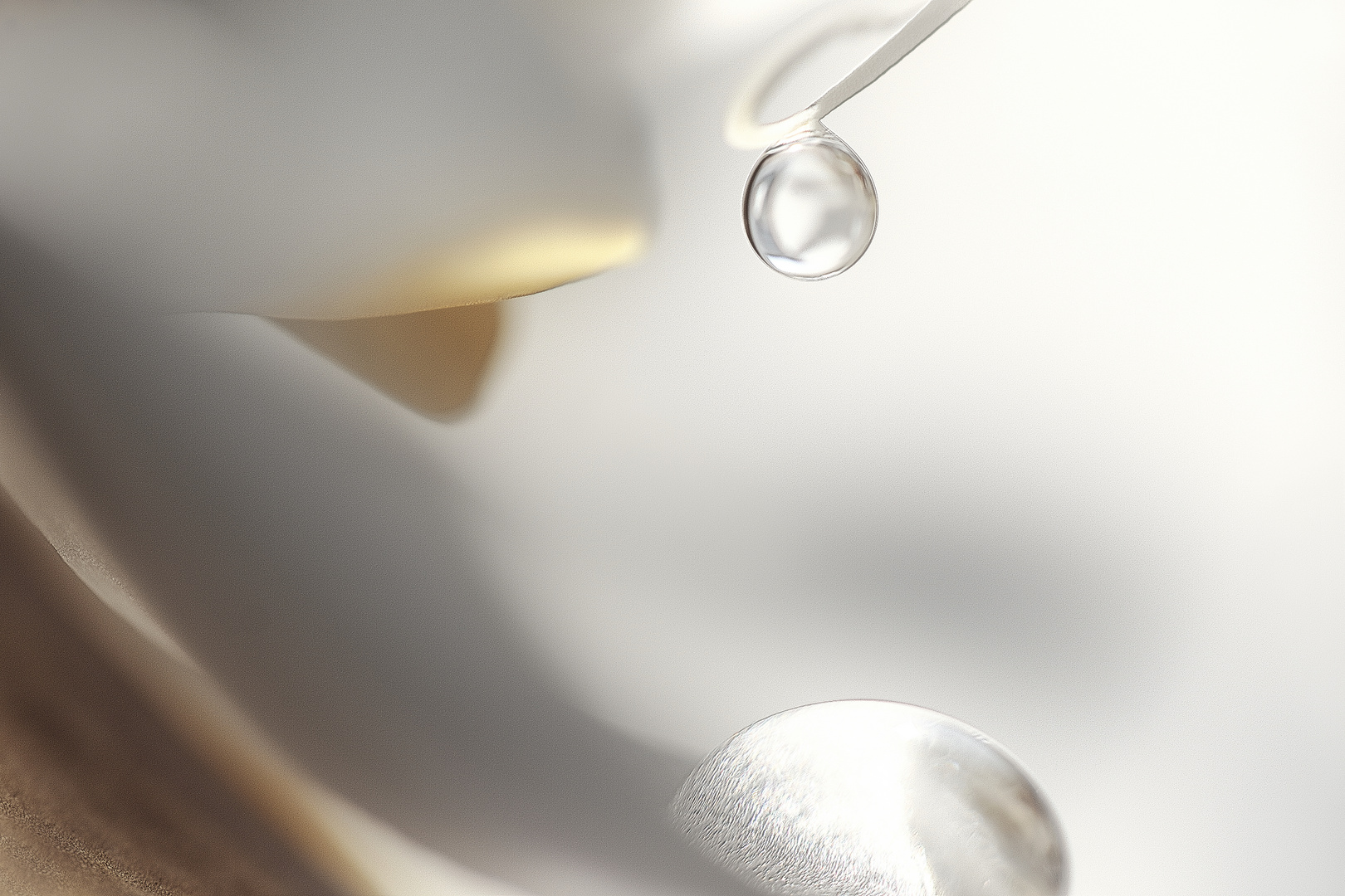 two drops Foto & Bild | natur-kreativ, aufnahmetechniken, natur fine ...