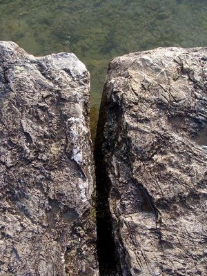 Nature Pictures & Photos