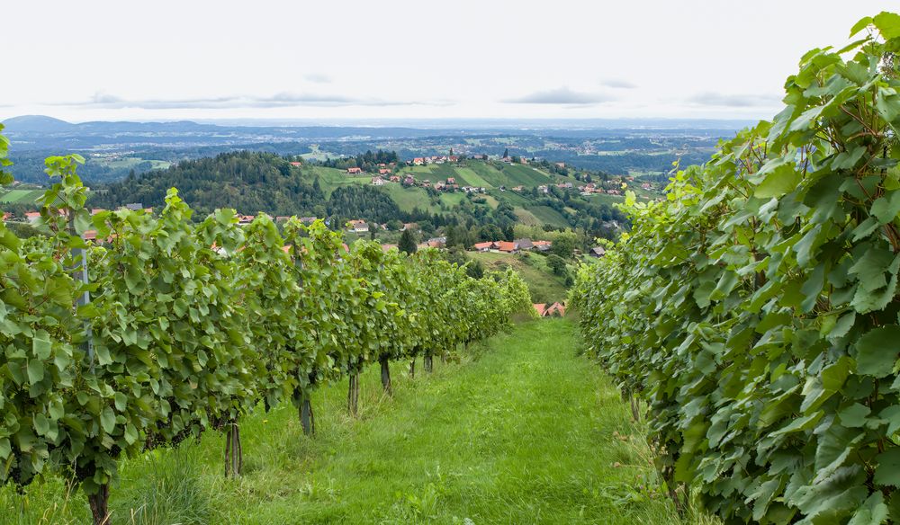 Typisch Steiermark Foto & Bild | europe, Österreich, steiermark Bilder ...