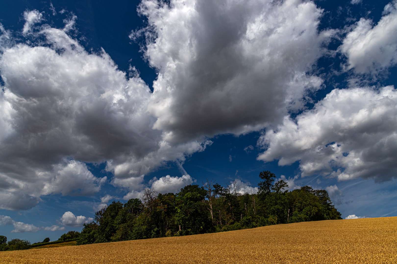Uber den Wald Foto & Bild | landschaft, jahreszeiten, sommer Bilder auf ...
