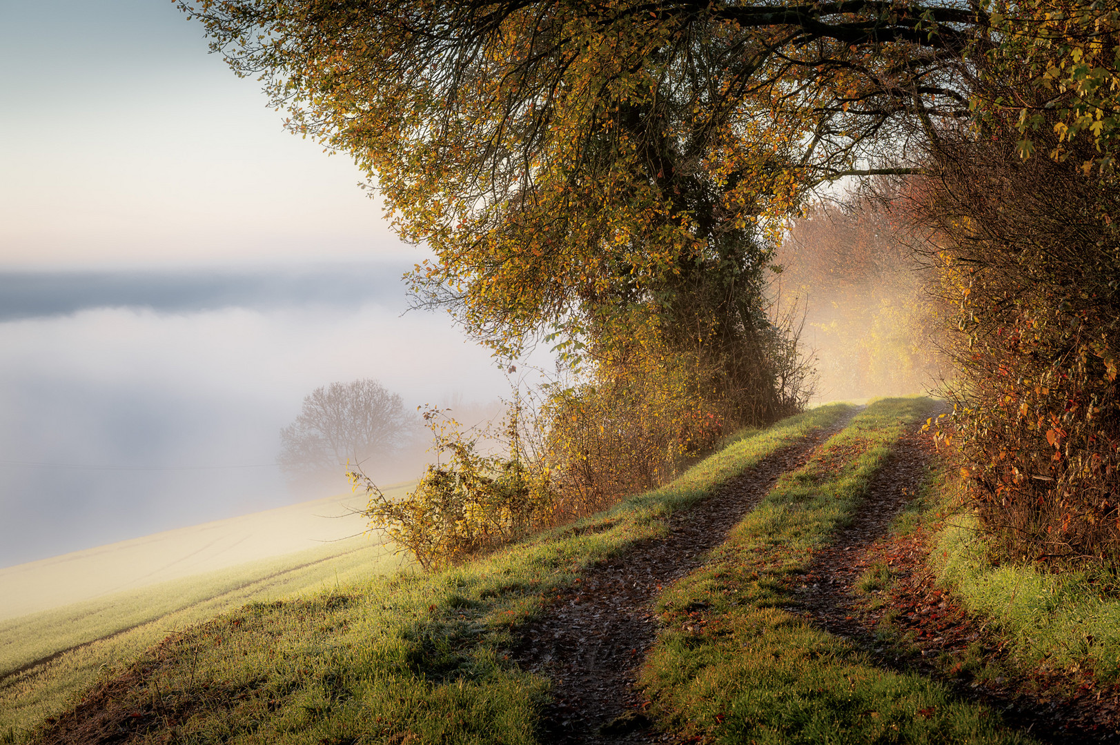über dem Nebel Foto & Bild | landschaft, jahreszeiten, herbst Bilder ...