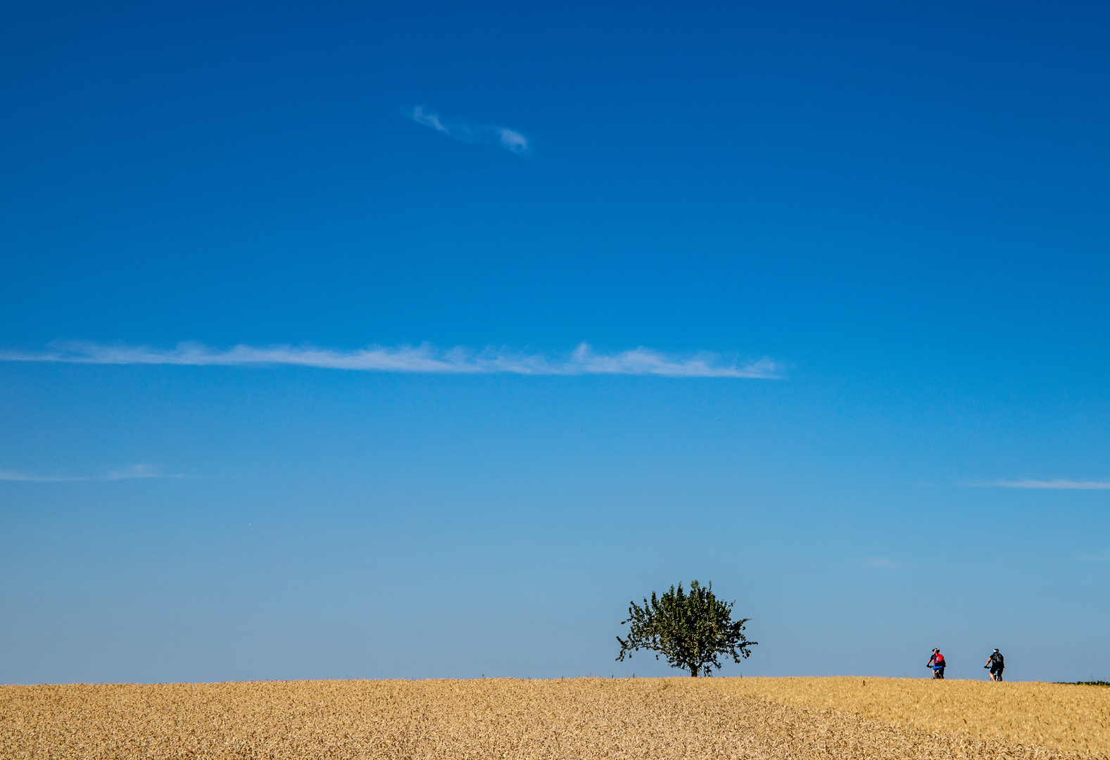 Über den Horizont Foto & Bild | erwachsene, landschaft, himmel Bilder ...