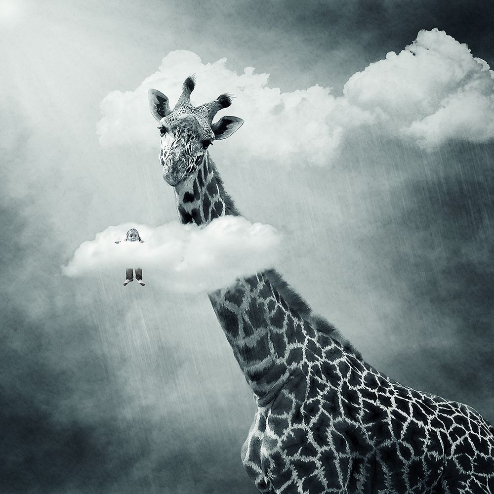 Über den Wolken Foto & Bild | fotomontage, composing, fotos Bilder auf fotocommunity