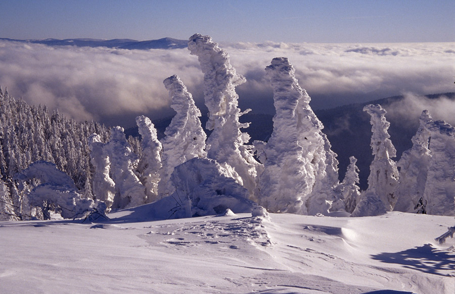 Über den Wolken - Winter auf dem Gr. Arber Foto & Bild | jahreszeiten ...