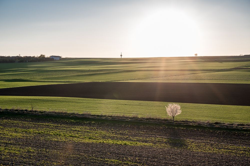 über die Felder Foto & Bild | outdoor, bäume, himmel Bilder auf ...