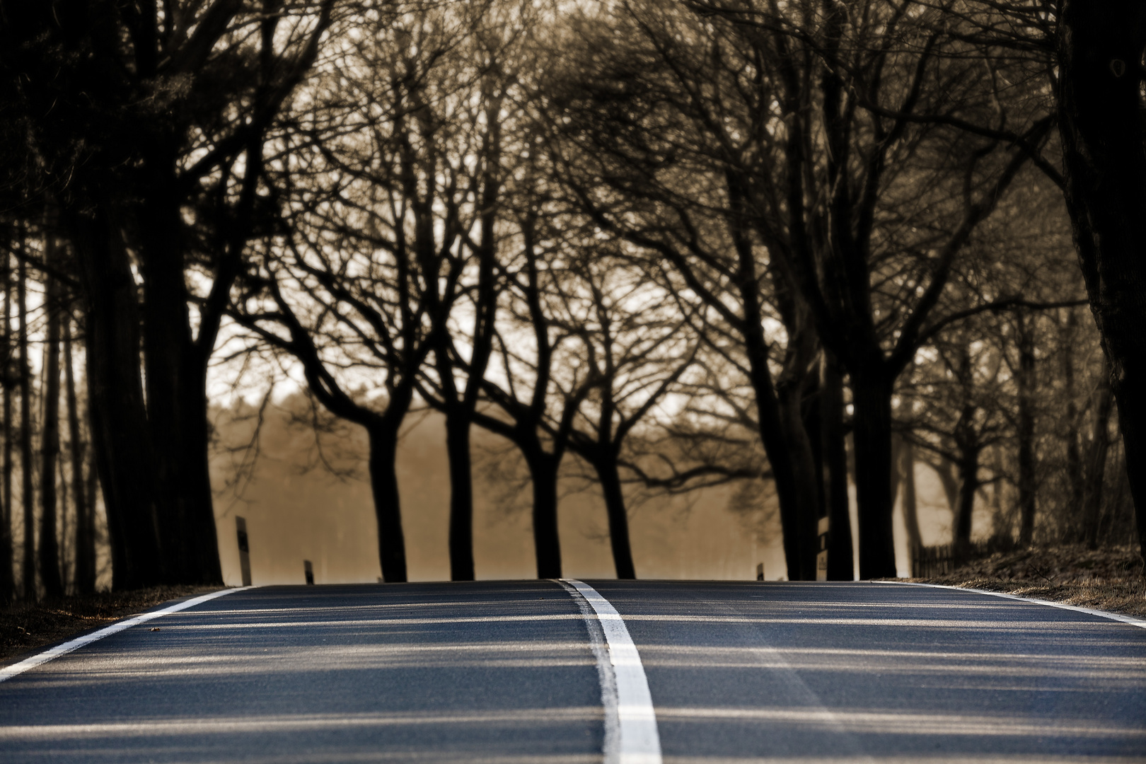 Über die Kuppe Foto & Bild | architektur, straßen & brücken, landschaft ...