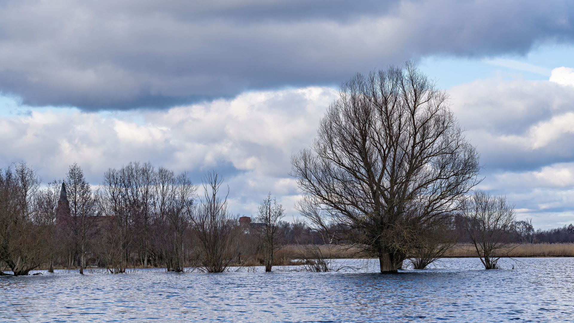 Überflutete Wiesen Foto & Bild | landschaft, landschaften, bäume Bilder ...