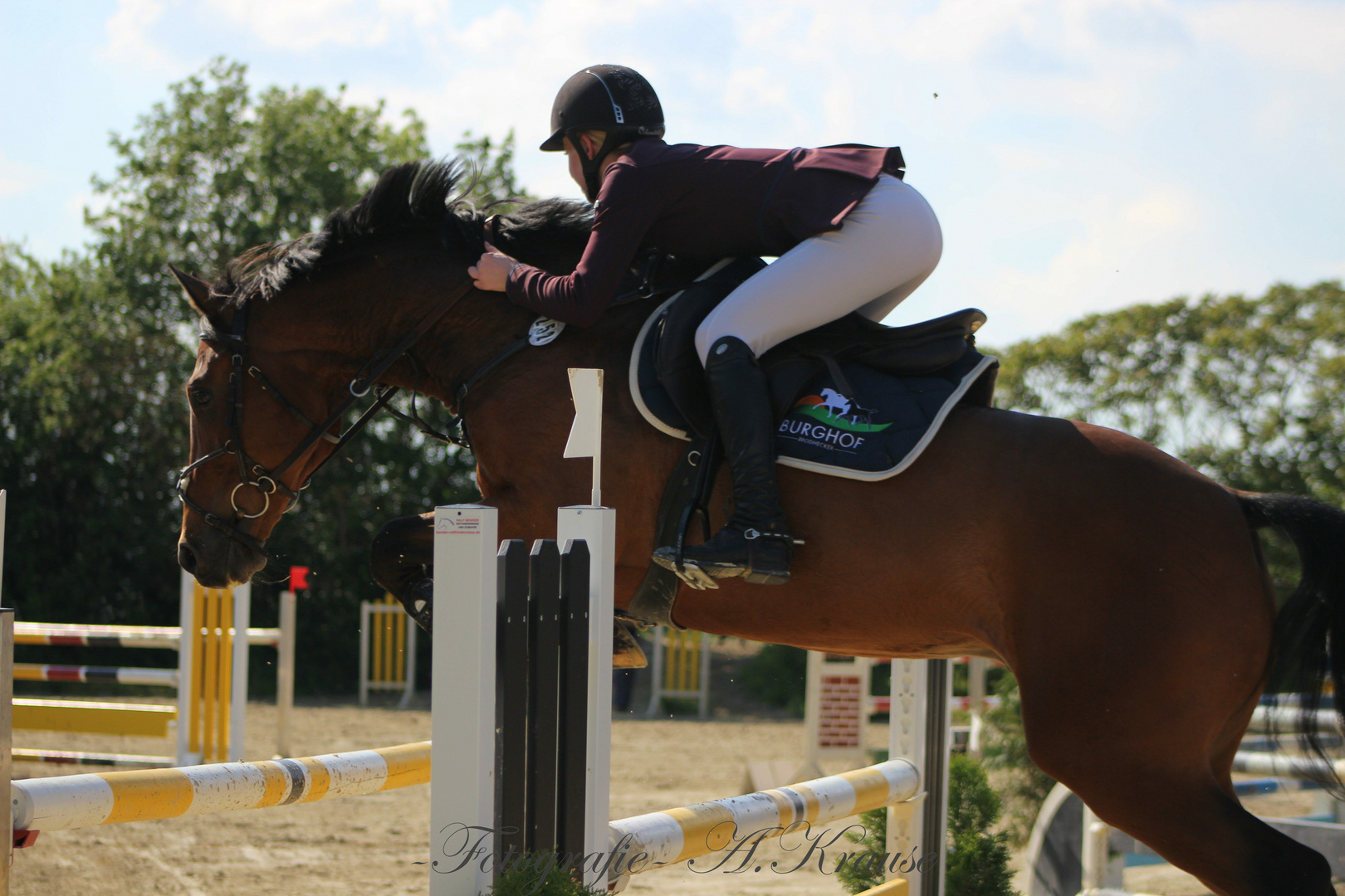 Übern Oxer fliegen Foto & Bild | sport, tiere, haustiere Bilder auf ...
