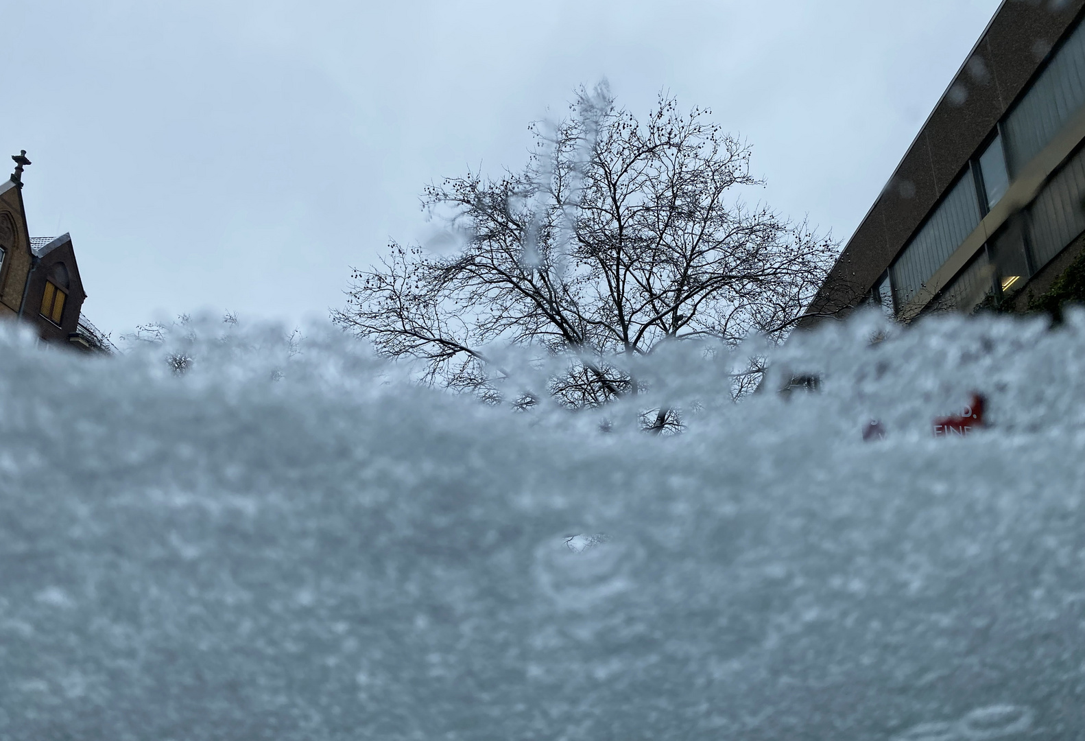 Überrascht Foto & Bild | jahreszeiten, winter, projekte Bilder auf fotocommunity