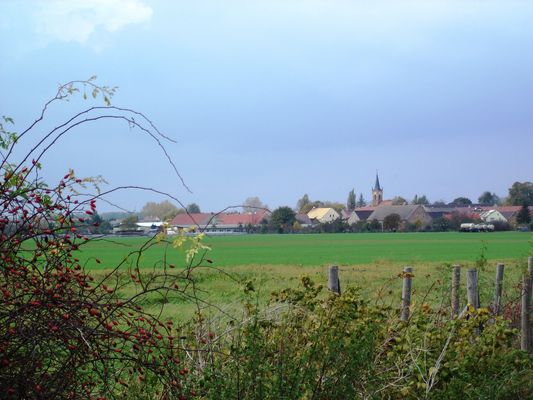 Emmili - Fotos & Bilder - Fotografin aus Jüterbog, Deutschland ...