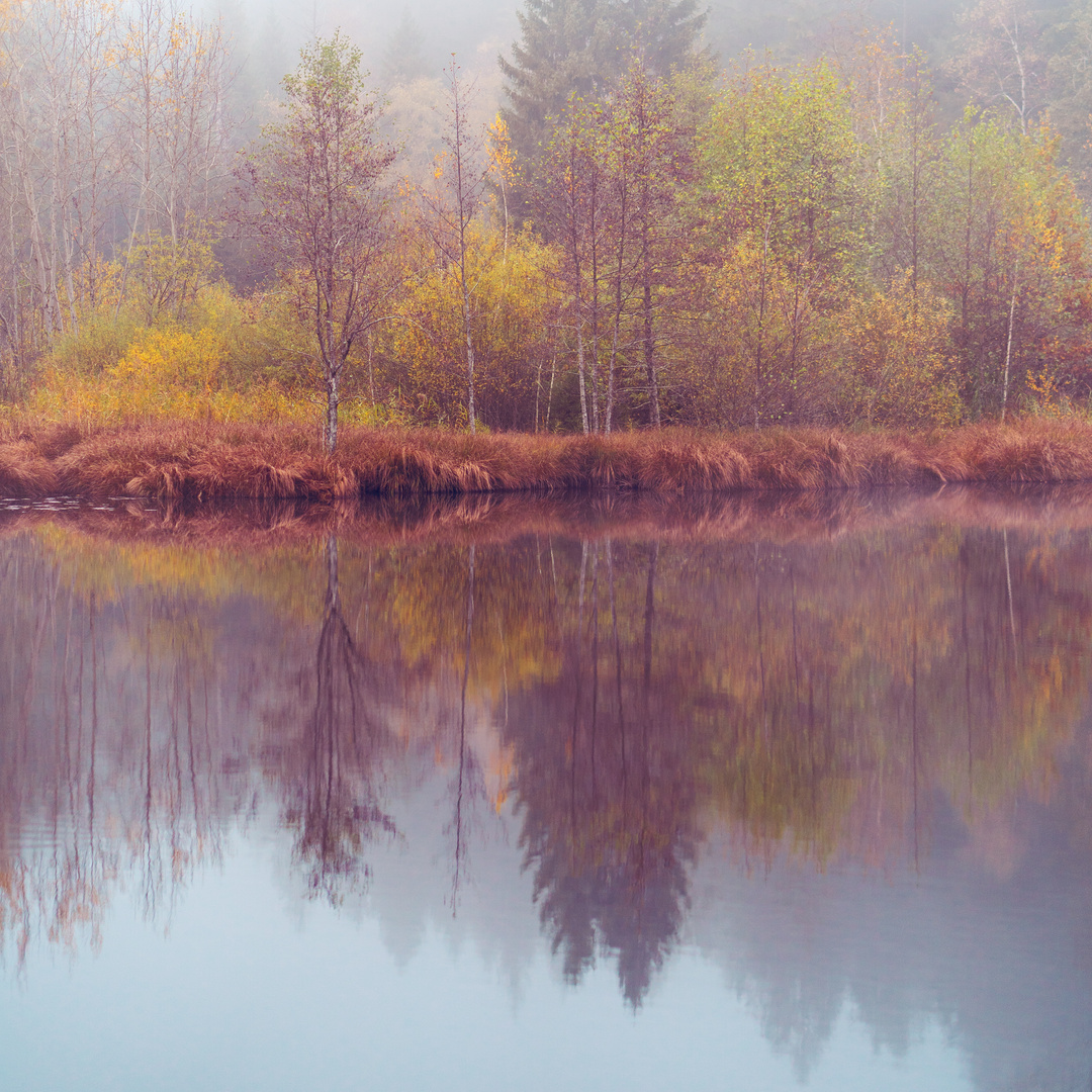 Ufer... Foto & Bild | landschaft, fotokunst, bach, fluss & see Bilder ...