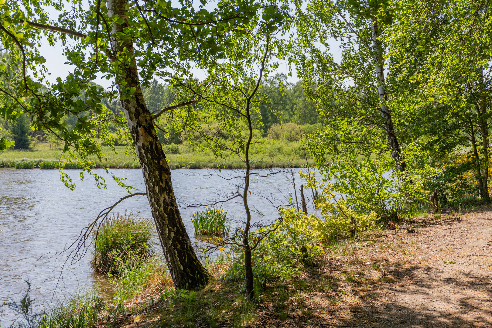 Ufer-Idyll Foto & Bild | landschaft, jahreszeiten, frühling Bilder auf ...