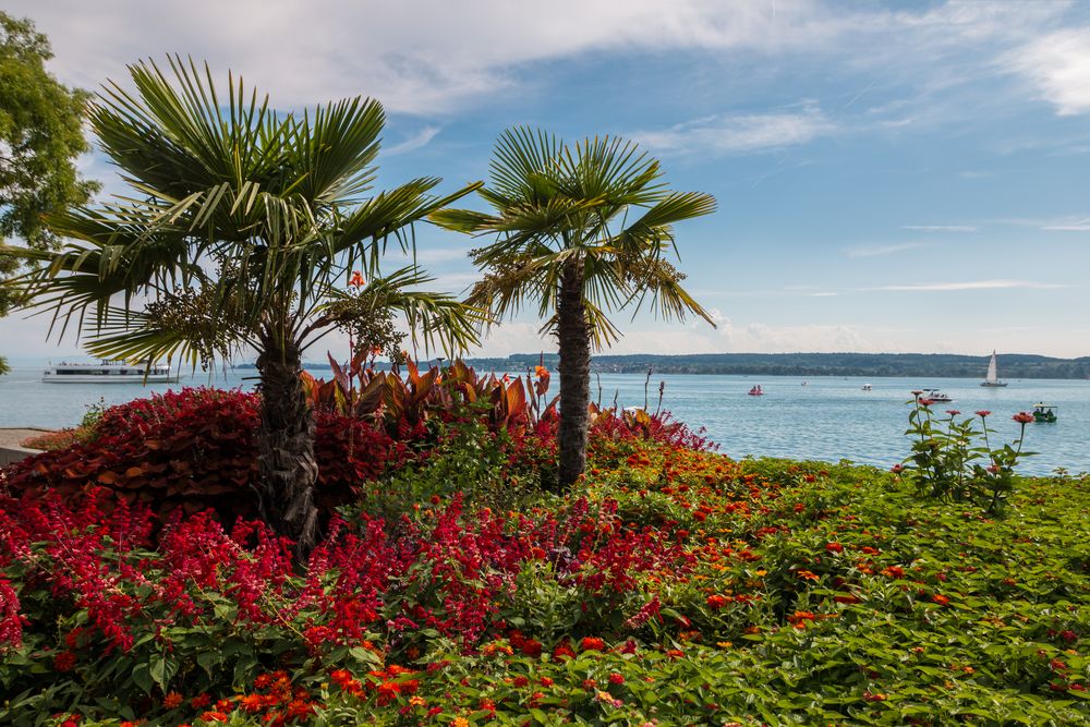 Uferpromenade Überlingen Foto & Bild | see, blumen, bodensee Bilder auf ...