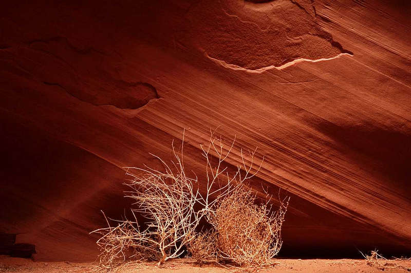 Uhlenbusch - Bild & Foto von Monika Westermann aus 10/ 01: Traum ...