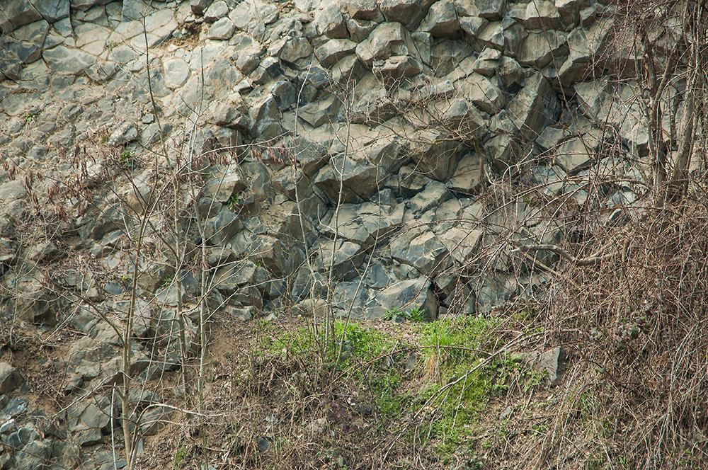 Uhu-Suchbild Foto & Bild | tiere, wildlife, wild lebende vögel Bilder ...