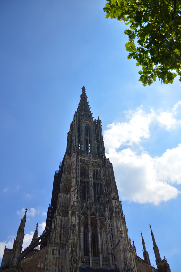 Ulmer Münster Foto & Bild | deutschland, europe, baden- württemberg ...