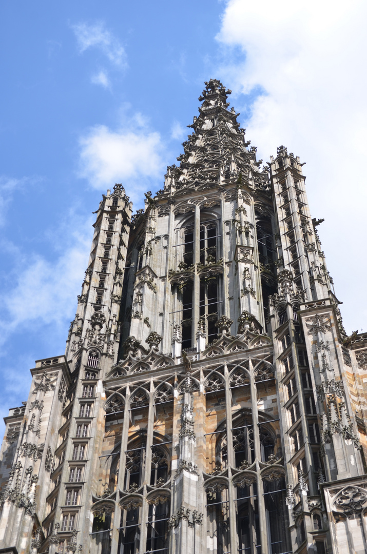 Ulmer Münster Foto & Bild | deutschland, europe, baden- württemberg ...