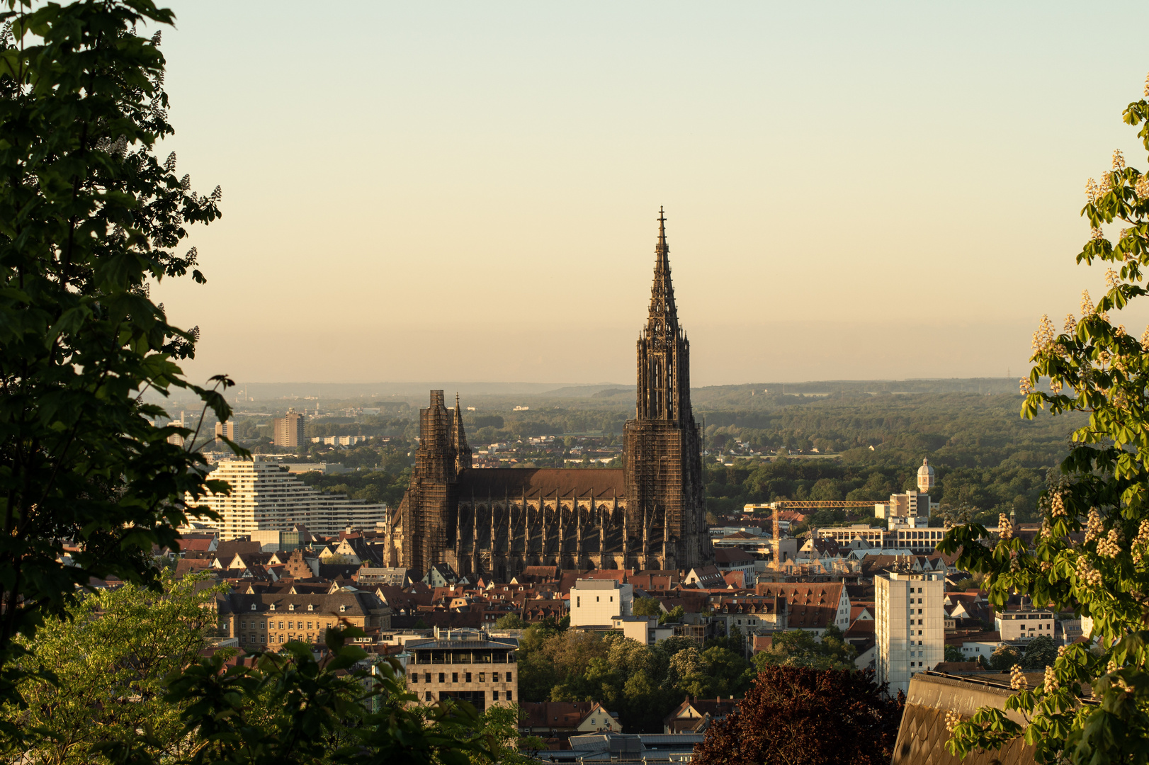 Ulmer Münster Foto & Bild | architektur, stadtlandschaft, sonnenaufgang ...