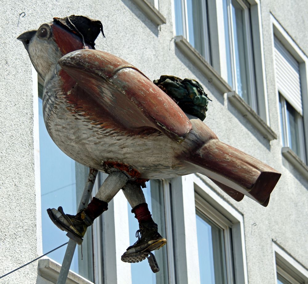 Ulmer Spatz als Bergwanderer Foto & Bild | deutschland, europe, fotos ...