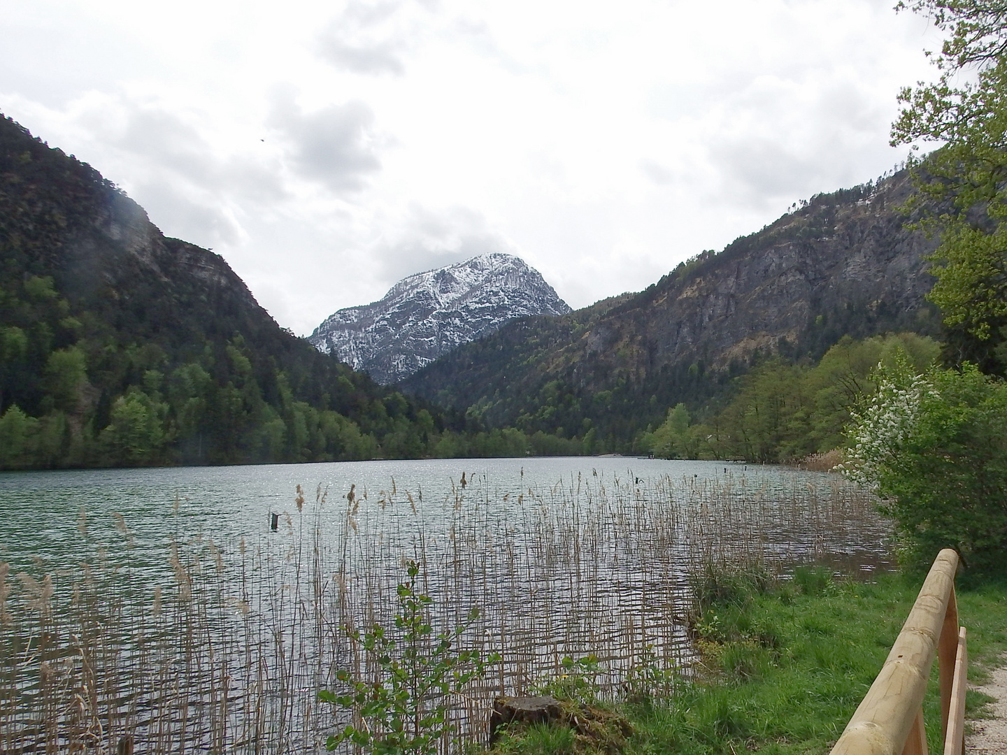 Um den Thumsee herum 22 Foto & Bild | world Bilder auf fotocommunity