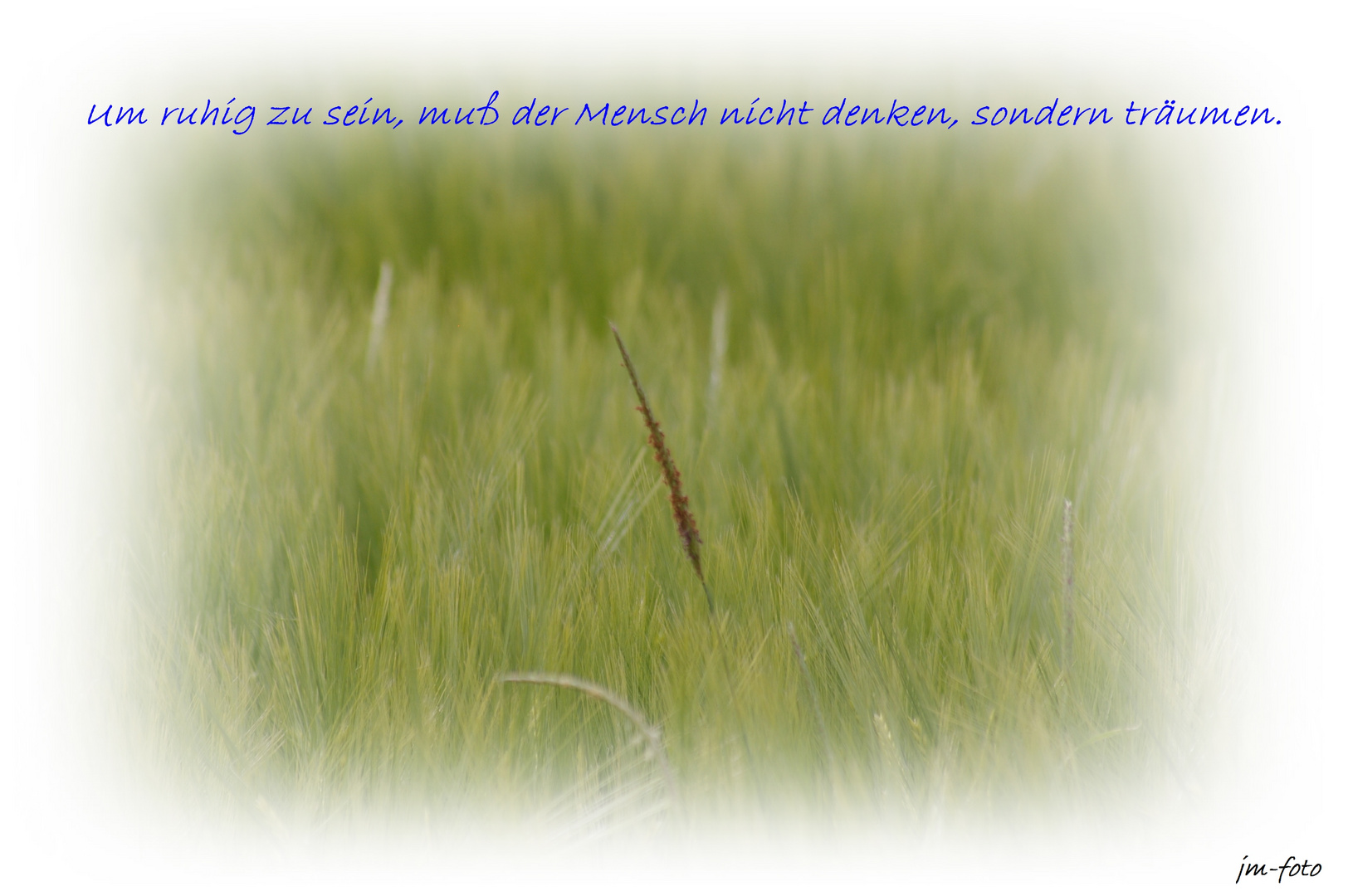 Um ruhig zu sein, muß der Mensch nicht denken, sondern träumen. Foto ...