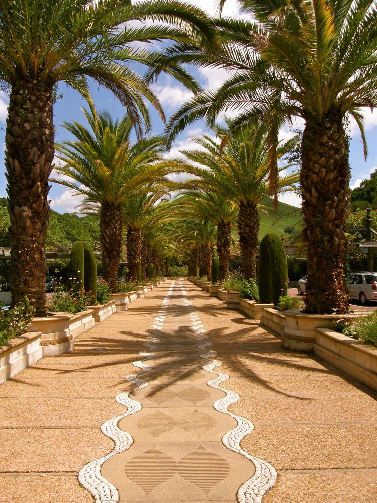 Un beau parc photo et image | jardins, nature Images fotocommunity